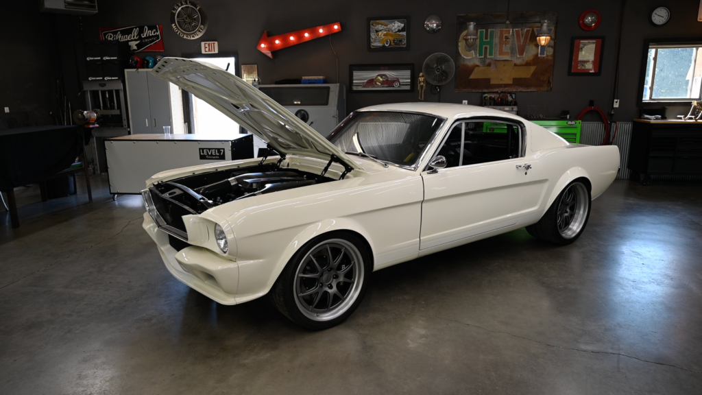 Level 7 Project | Mustang